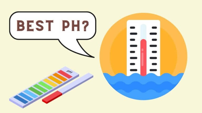 How To Test pH of Water Without A Kit [5 Simple DIY Ways] - Aqua Professor