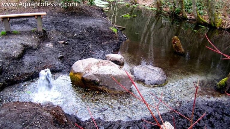 Is Florida Tap Water Safe To Drink In 2024: What Does Research Say ...