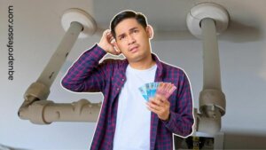 What's a Water Softener Loop: Do You Need One? (2024)