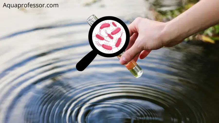 I Have Dirty Well Water! (5 Proven Causes & Fixes)