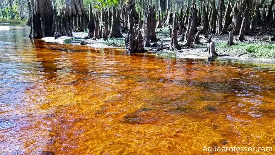 I Have Dirty Well Water! (5 Proven Causes & Fixes)