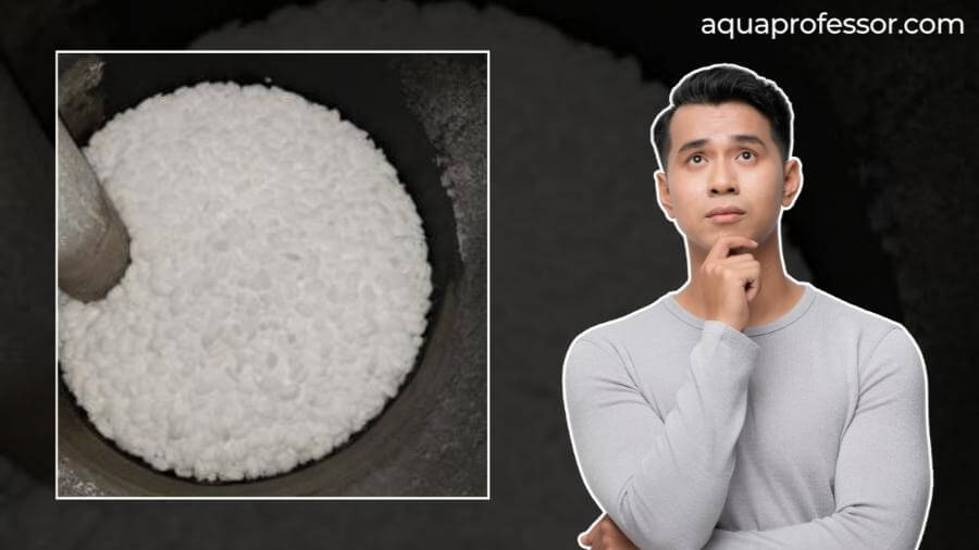 6 Water Softener Salt Types (Which One To Use In 2024?)